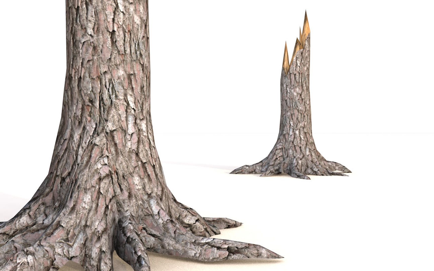 Broken Tree Branches Model - TurboSquid 1513261