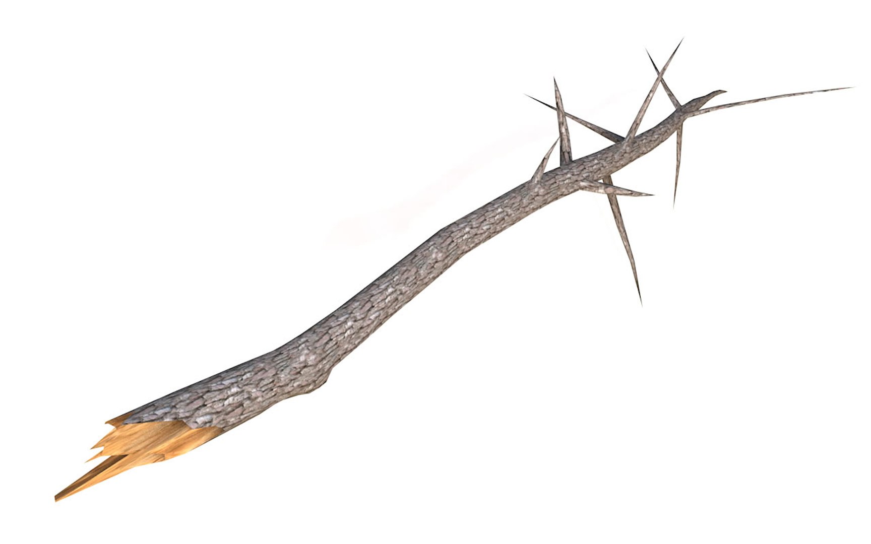 Broken Tree Branches Model - TurboSquid 1513261