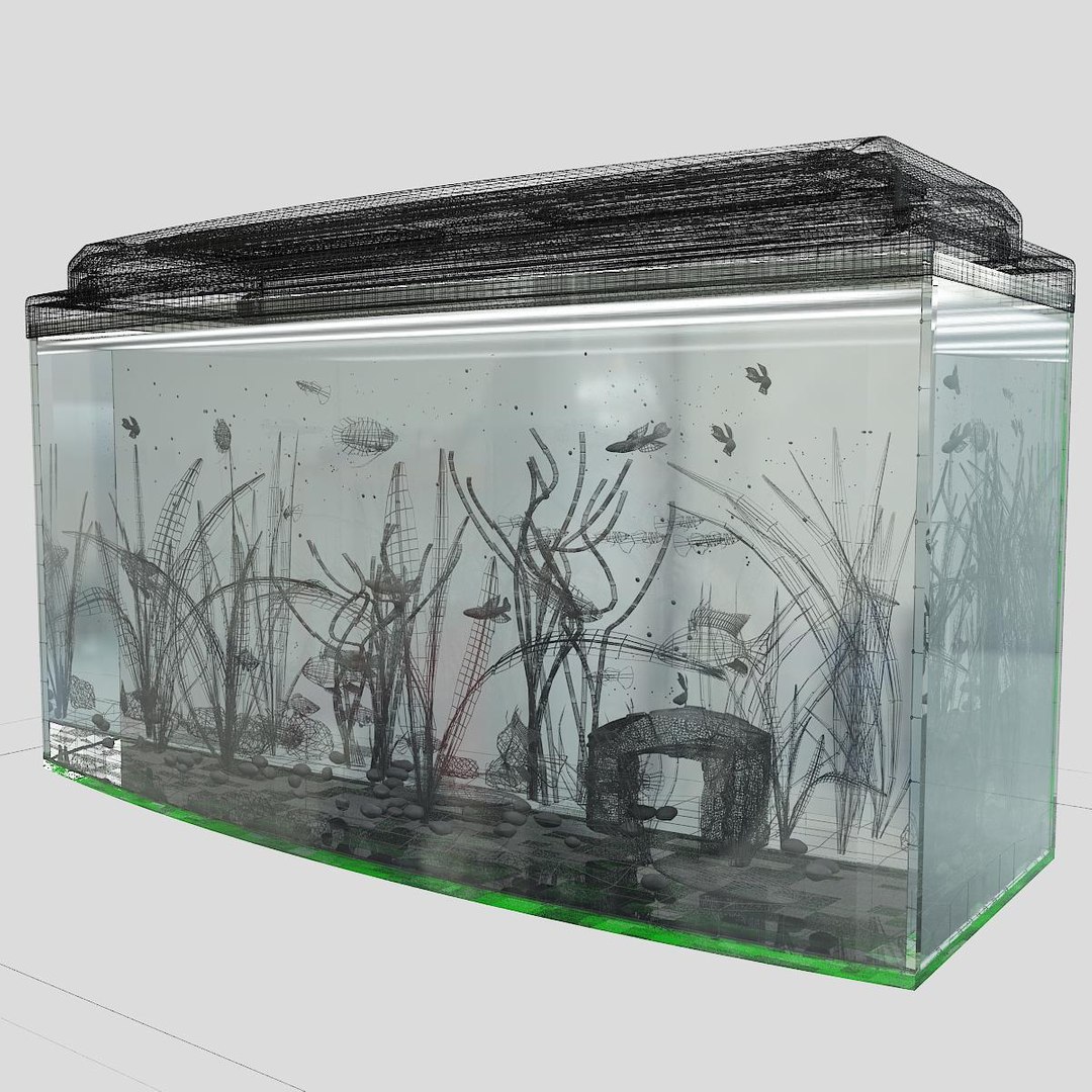 3d Aquarium 2