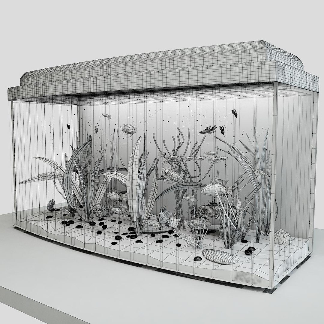 3d Aquarium 2