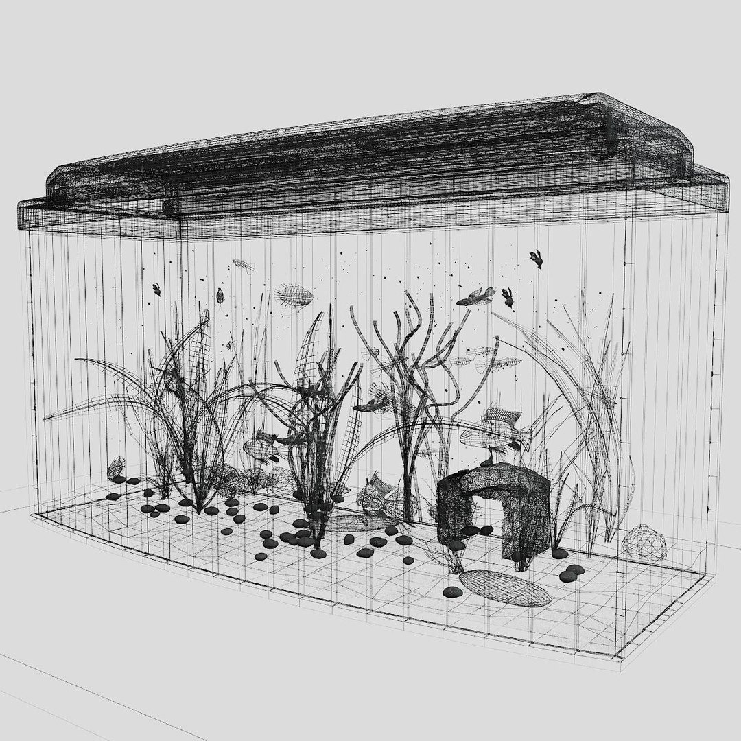 3d Aquarium 2