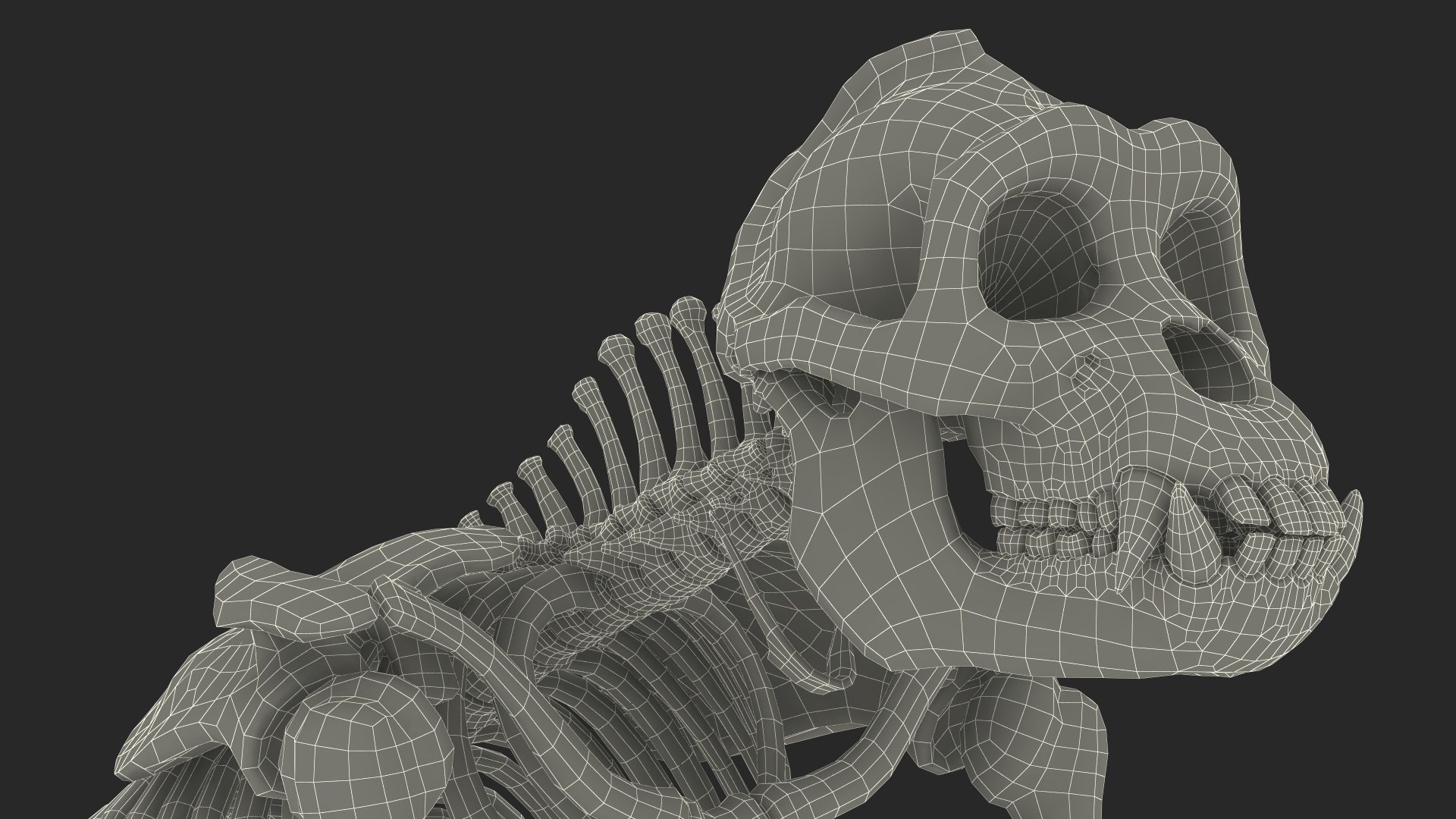 Articulated Gorilla Skeleton 3D Model - TurboSquid 2062988
