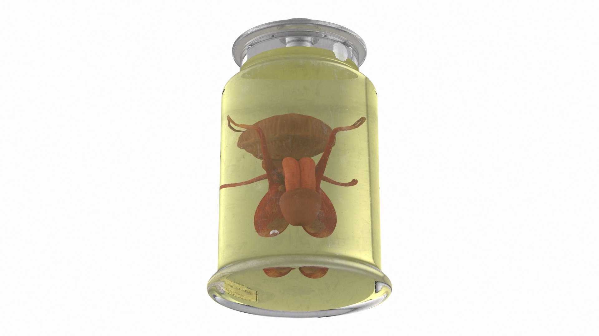 Male Genitalia In Old Glass Jar 3D - TurboSquid 2258827