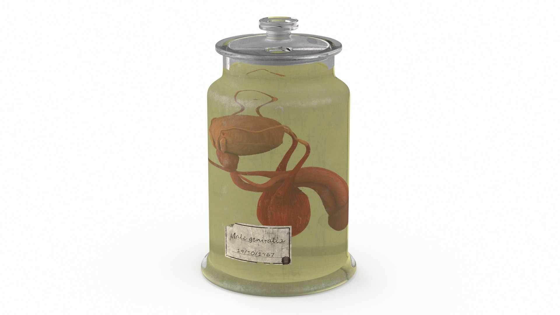 Male Genitalia In Old Glass Jar 3D - TurboSquid 2258827