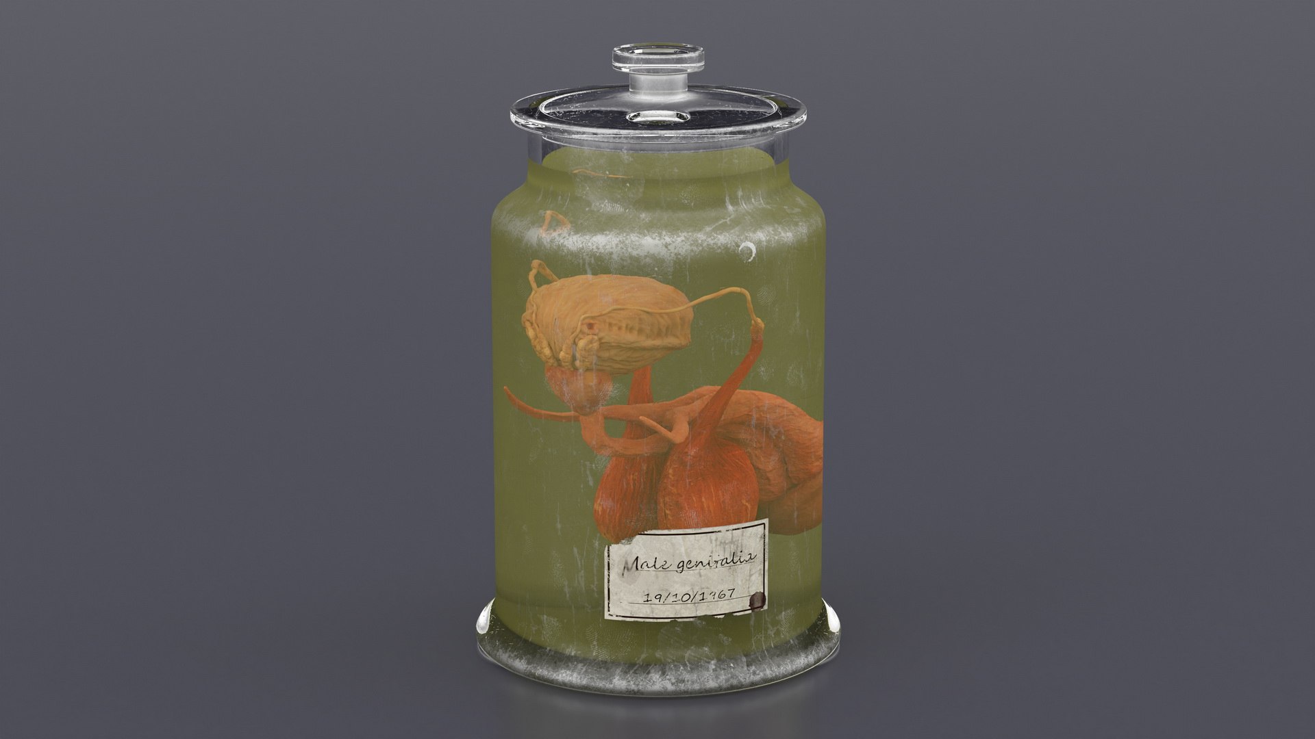 Male Genitalia In Old Glass Jar 3D - TurboSquid 2258827
