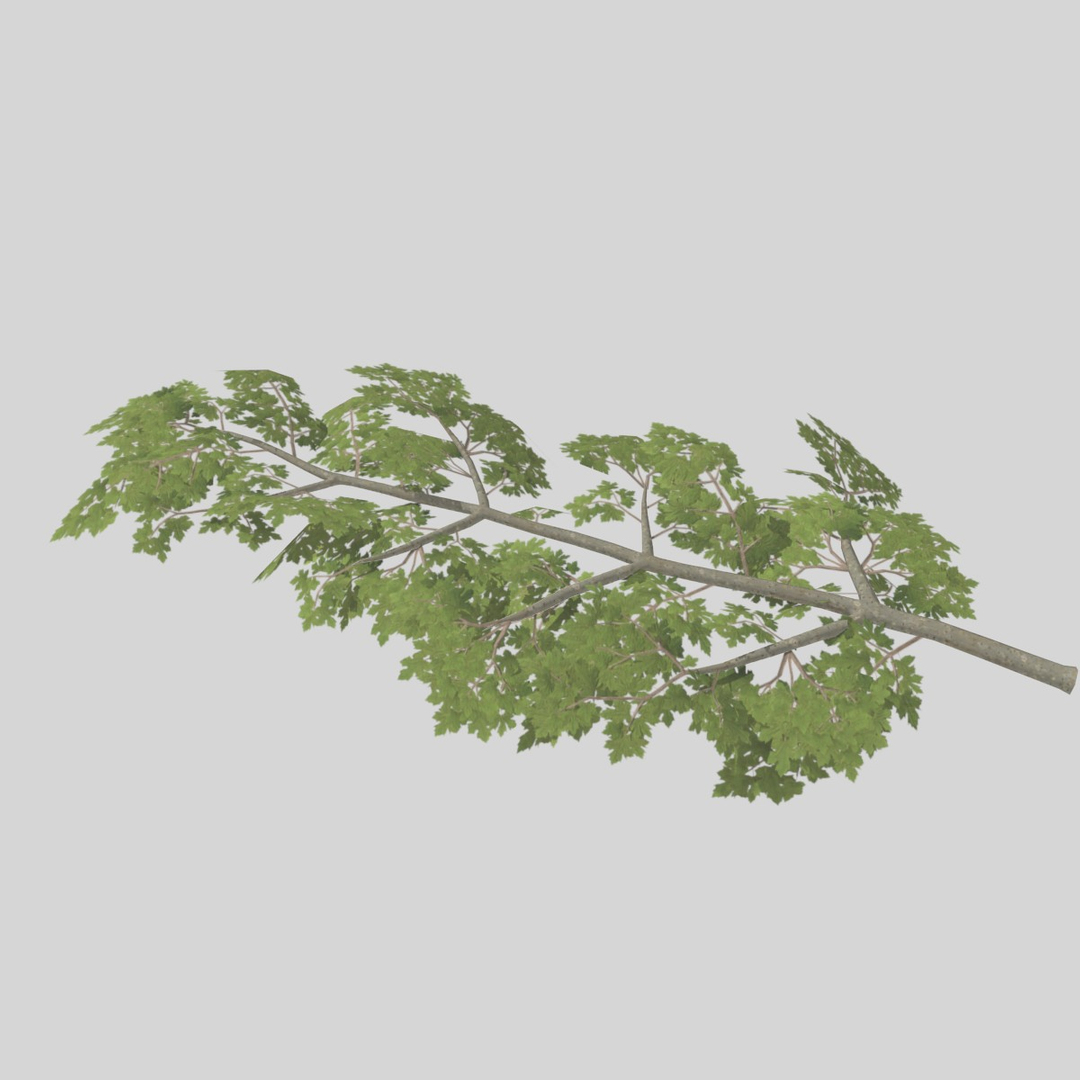 3D Rigged Tree Branch Types - TurboSquid 1397942