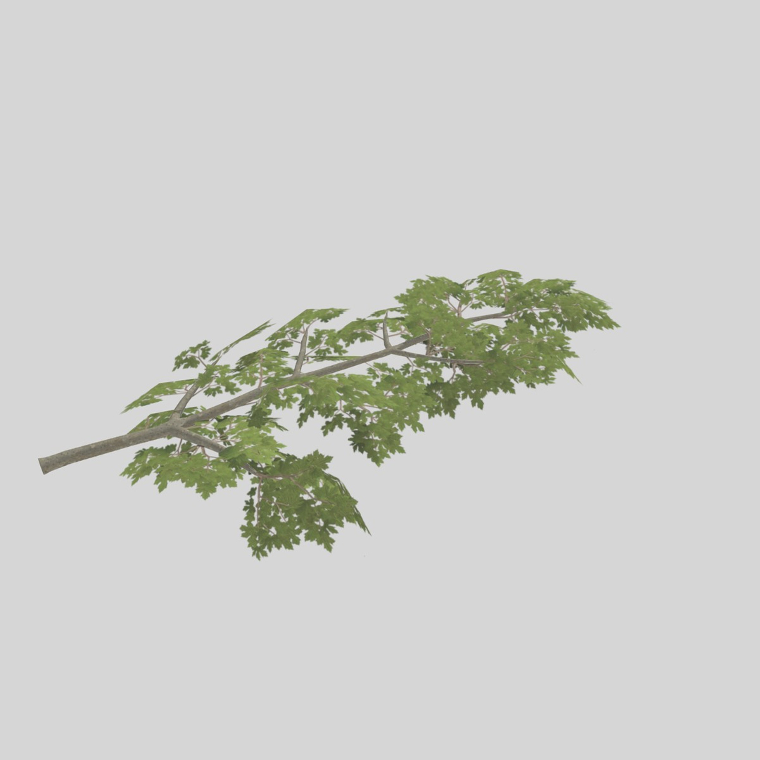3D Rigged Tree Branch Types - TurboSquid 1397942