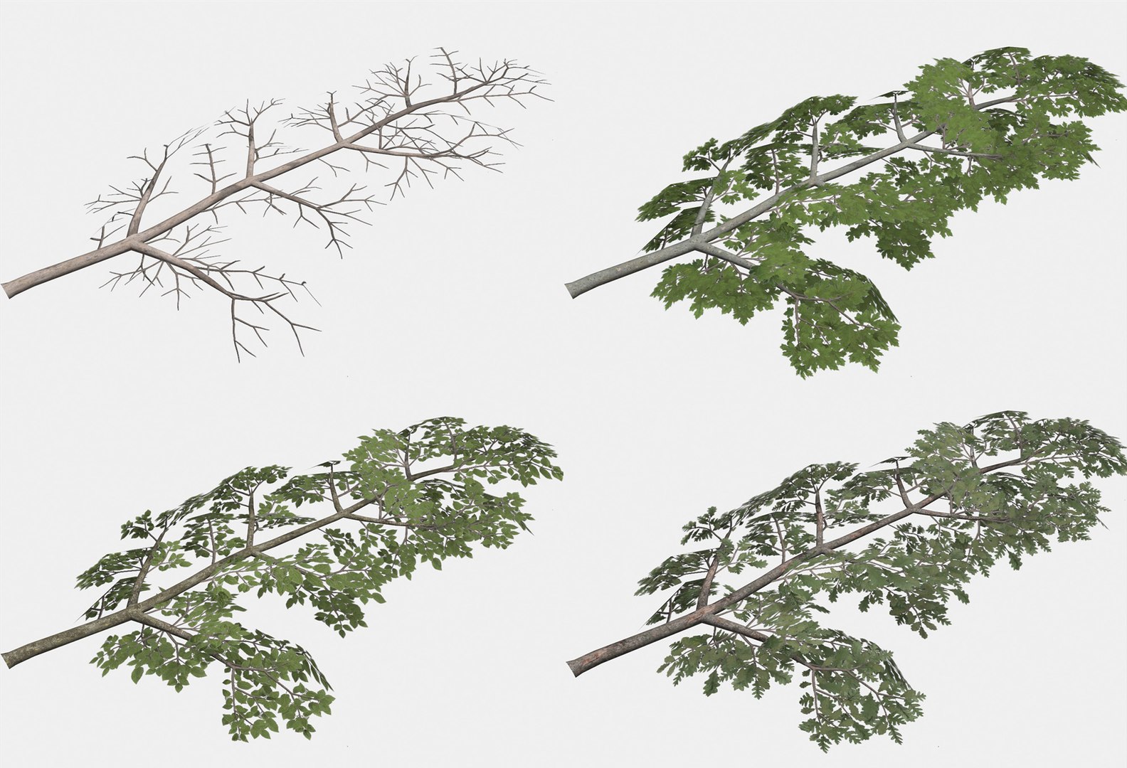 3D Rigged Tree Branch Types - TurboSquid 1397942