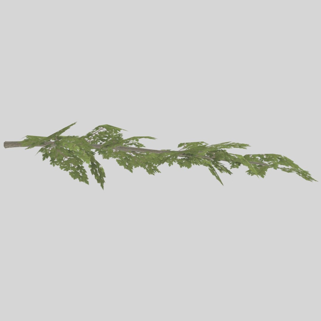 3D Rigged Tree Branch Types - TurboSquid 1397942