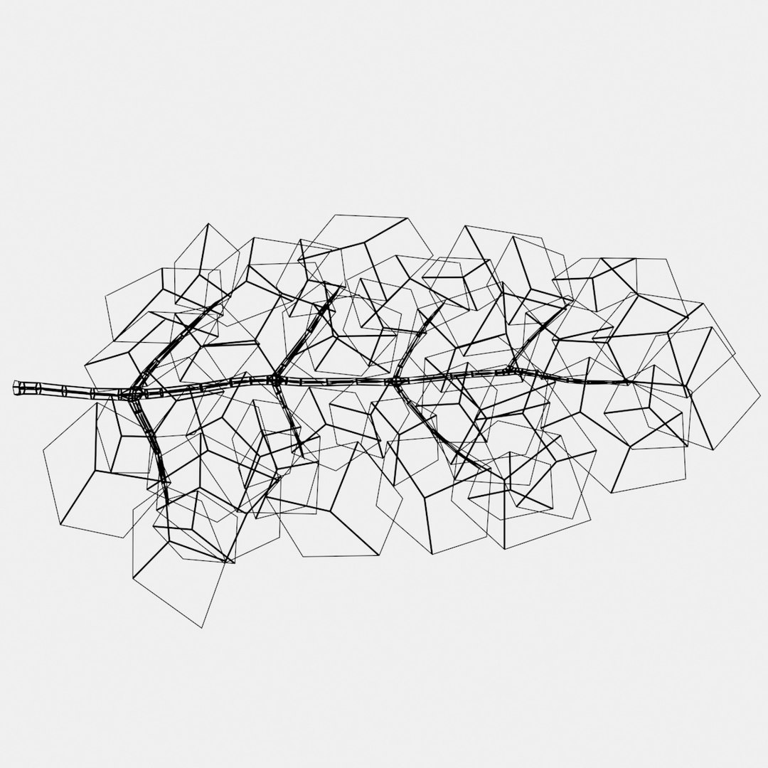 3D Rigged Tree Branch Types - TurboSquid 1397942