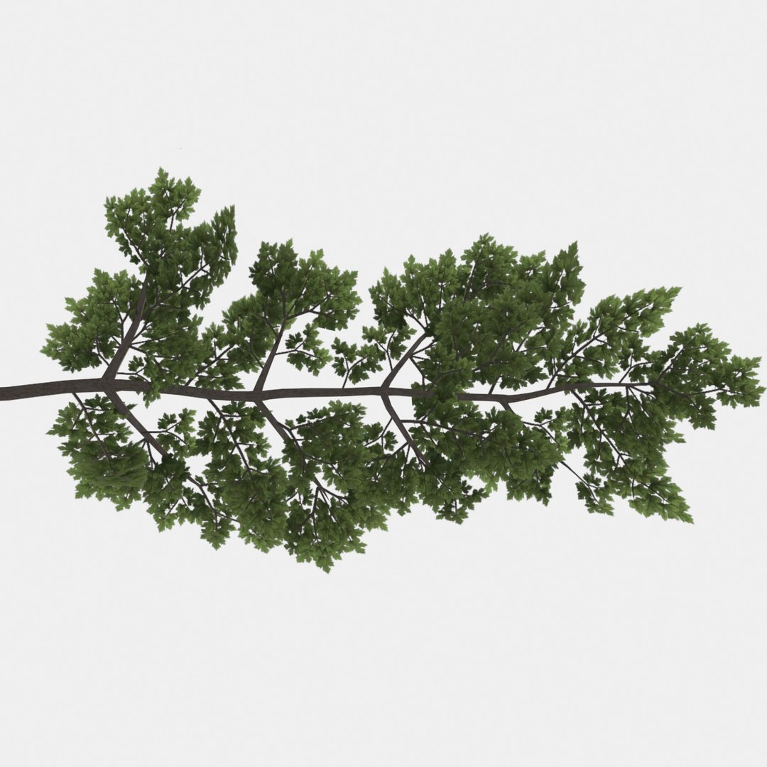 3D Rigged Tree Branch Types - TurboSquid 1397942
