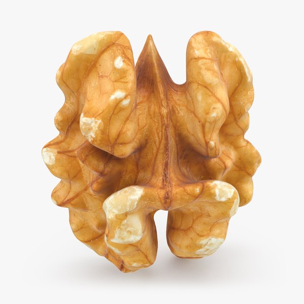 3D Raw Walnut model - TurboSquid 1934606