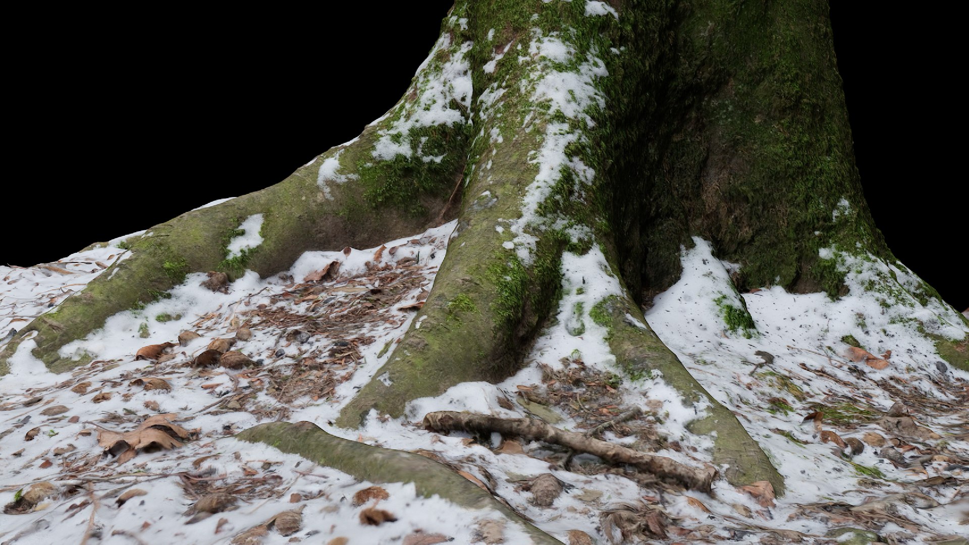 Swiss Winter Tree 0051 3D - TurboSquid 2177466