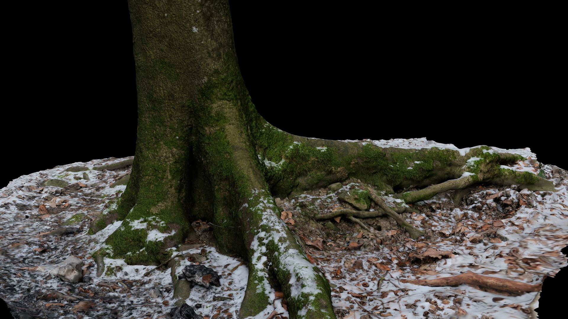Swiss Winter Tree 0051 3D - TurboSquid 2177466