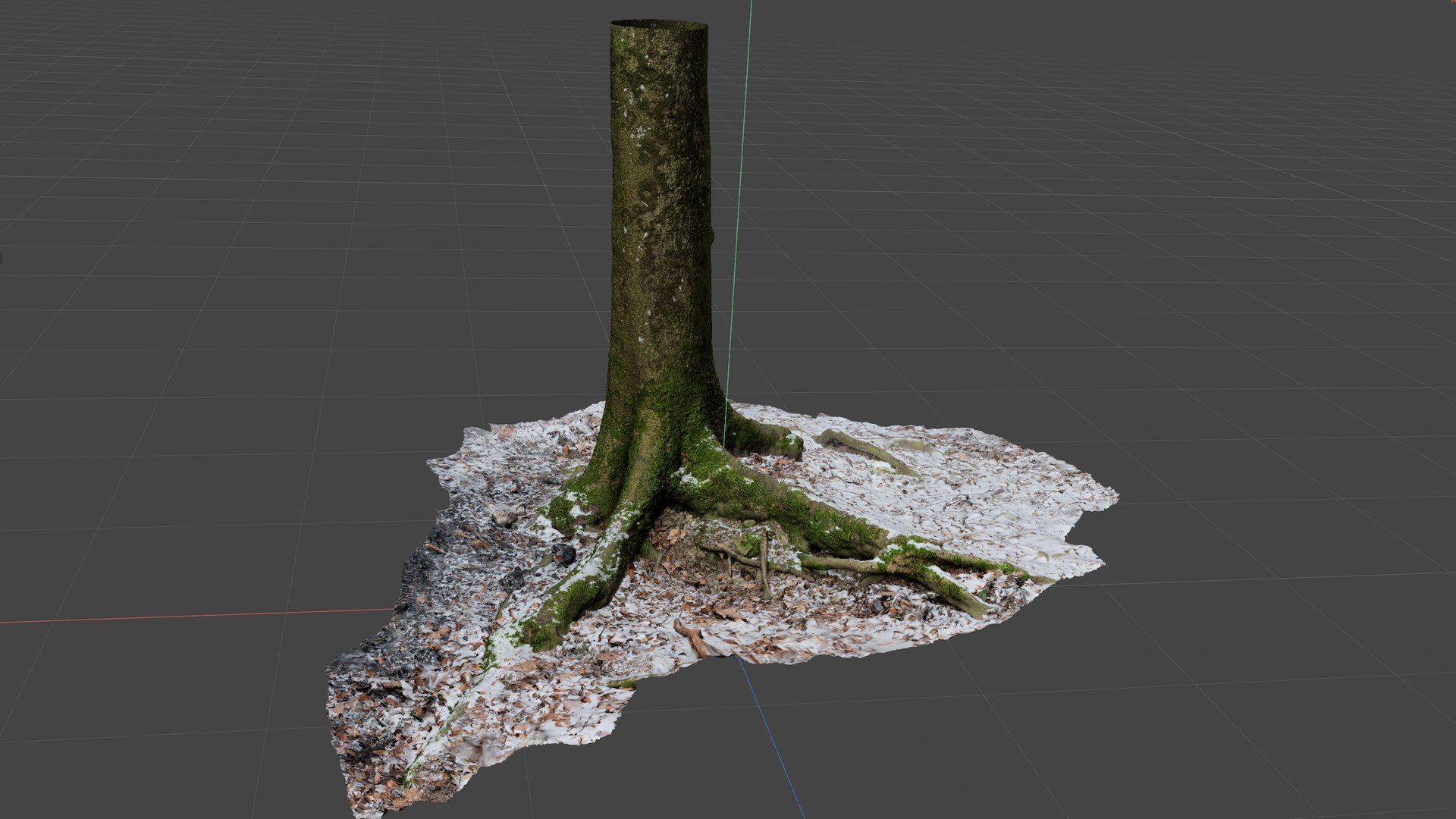 Swiss Winter Tree 0051 3D - TurboSquid 2177466