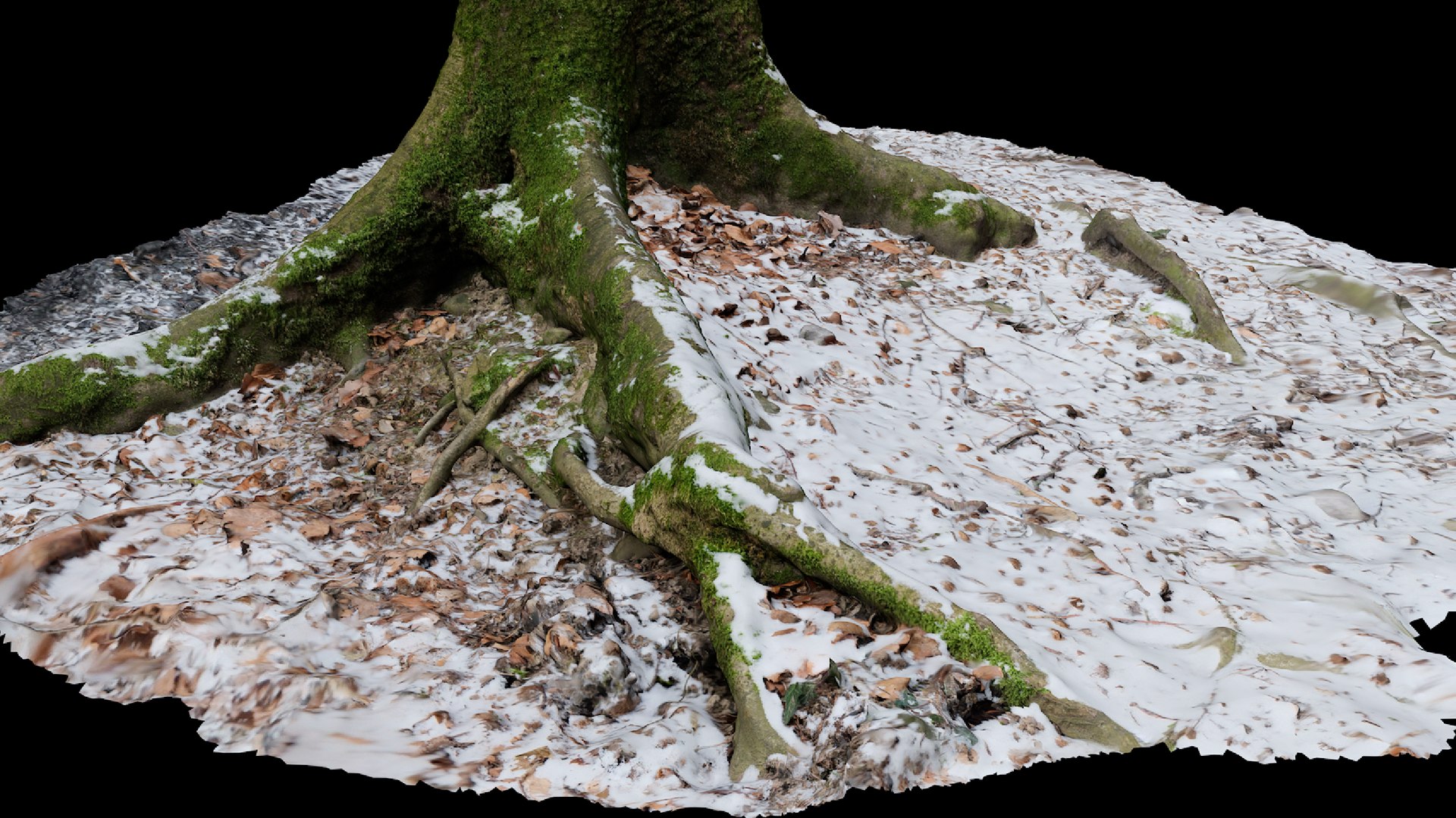 Swiss Winter Tree 0051 3D - TurboSquid 2177466