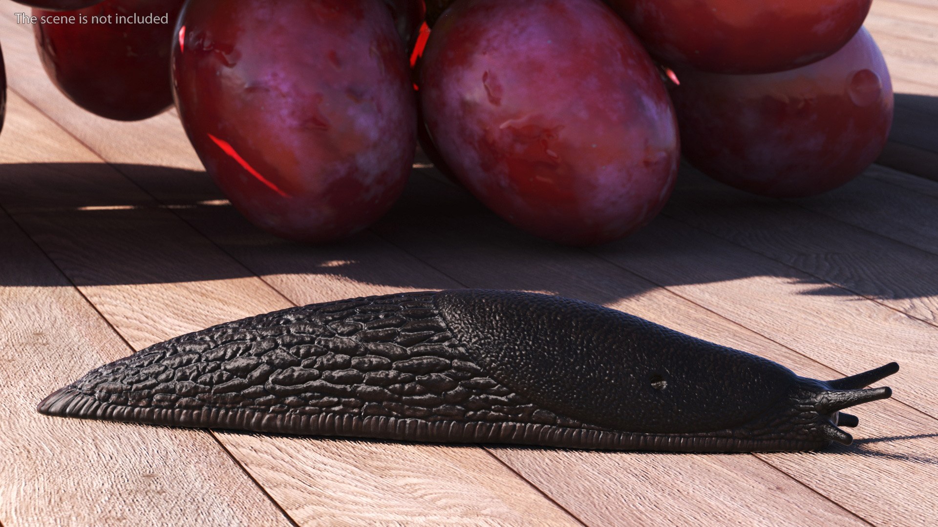 Garden Slug Rigged For Cinema 4D 3D Model - TurboSquid 2018542