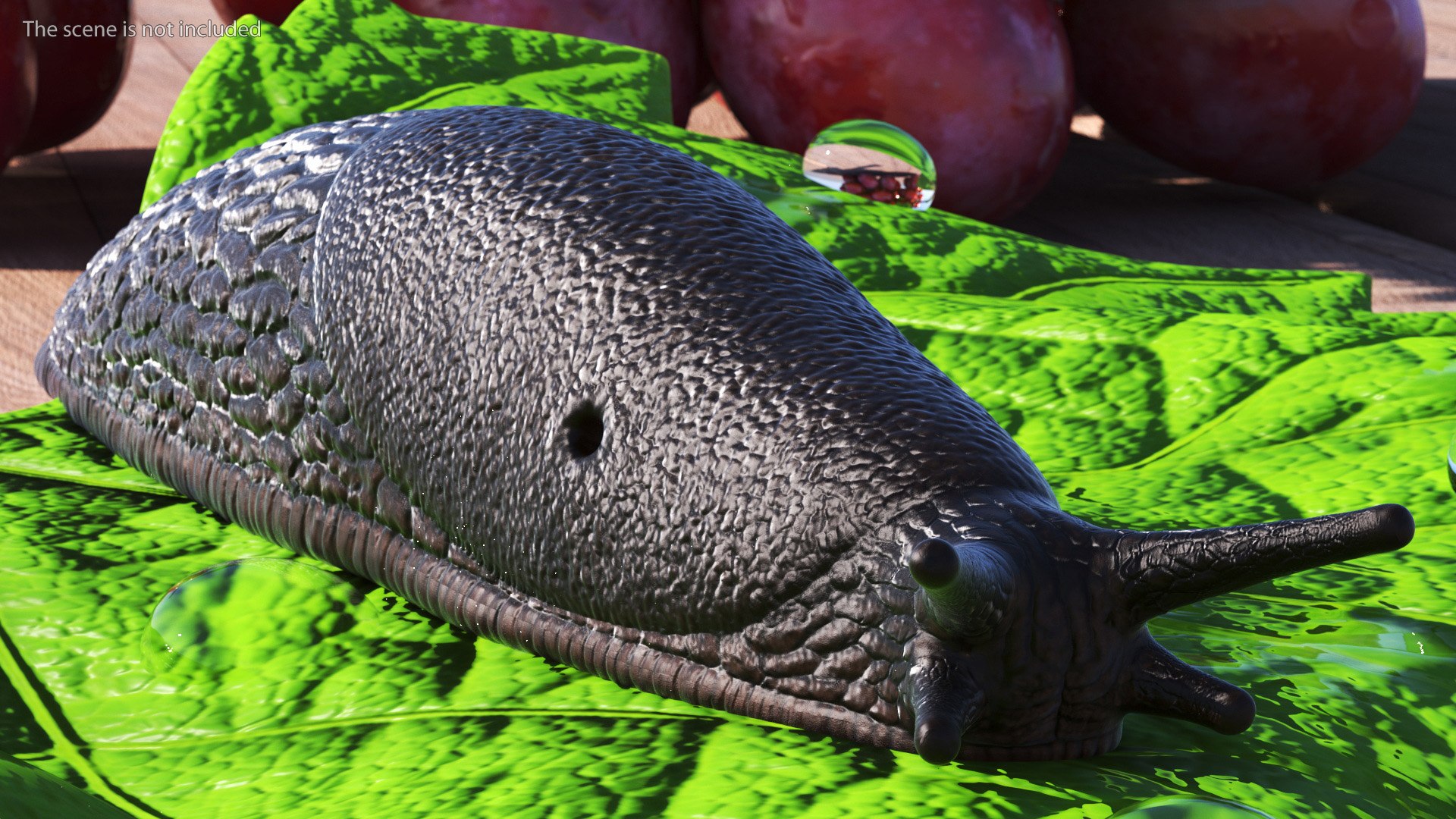 Garden Slug Rigged For Cinema 4D 3D Model - TurboSquid 2018542