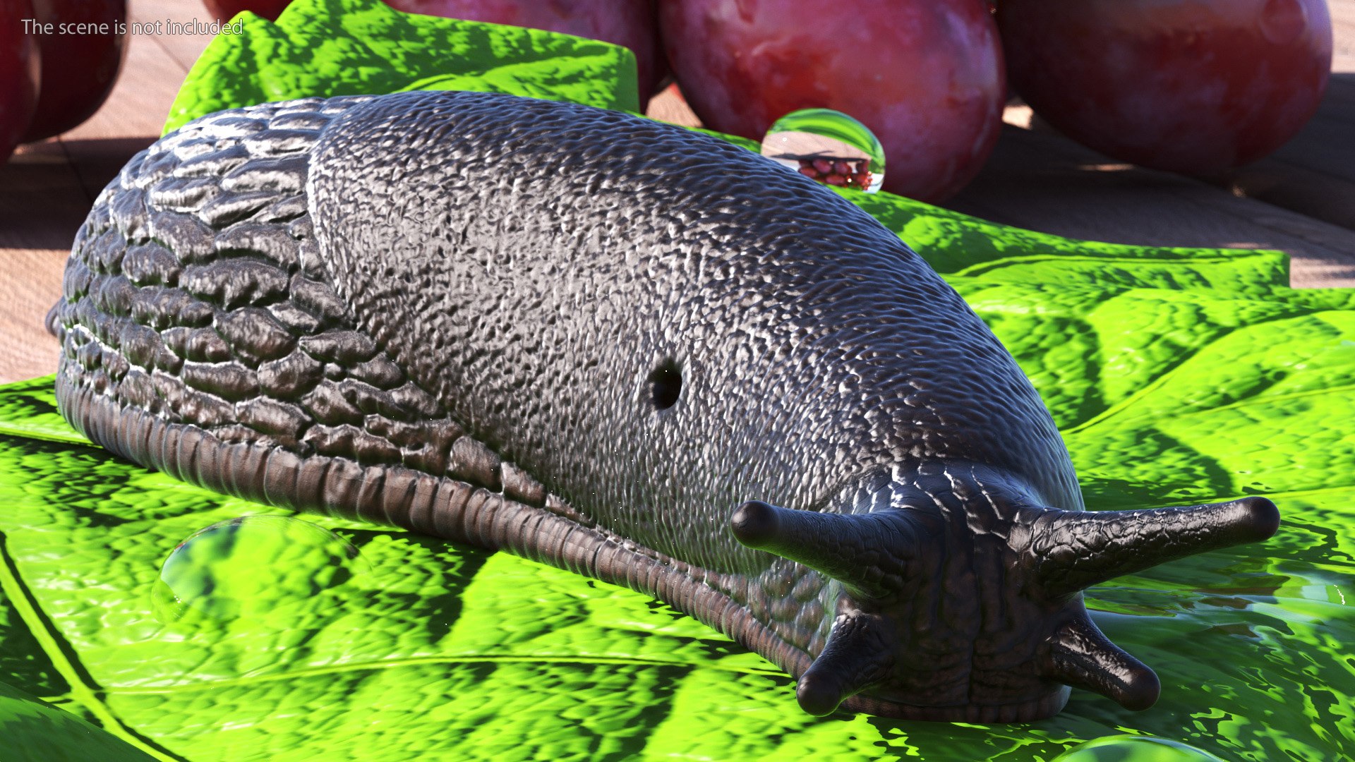 Garden Slug Rigged for Cinema 4D 3D model - TurboSquid 2018542