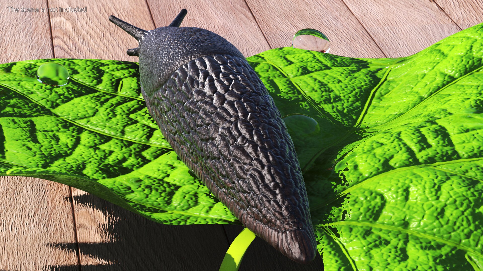 Garden Slug Rigged For Cinema 4D 3D Model - TurboSquid 2018542