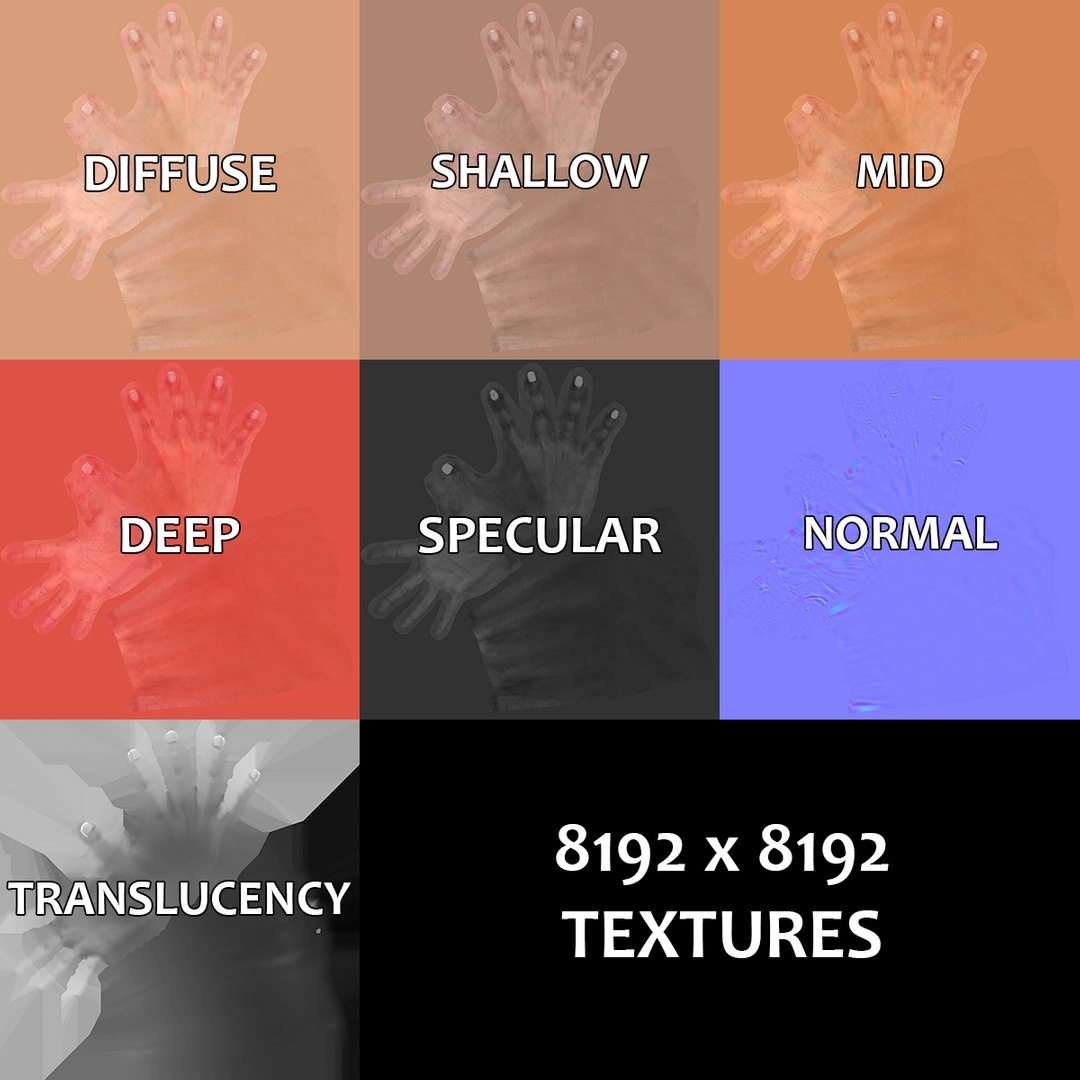 Realistic female arm hand 3D model - TurboSquid 1312491