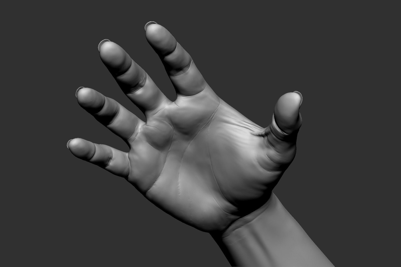Realistic female arm hand 3D model - TurboSquid 1312491