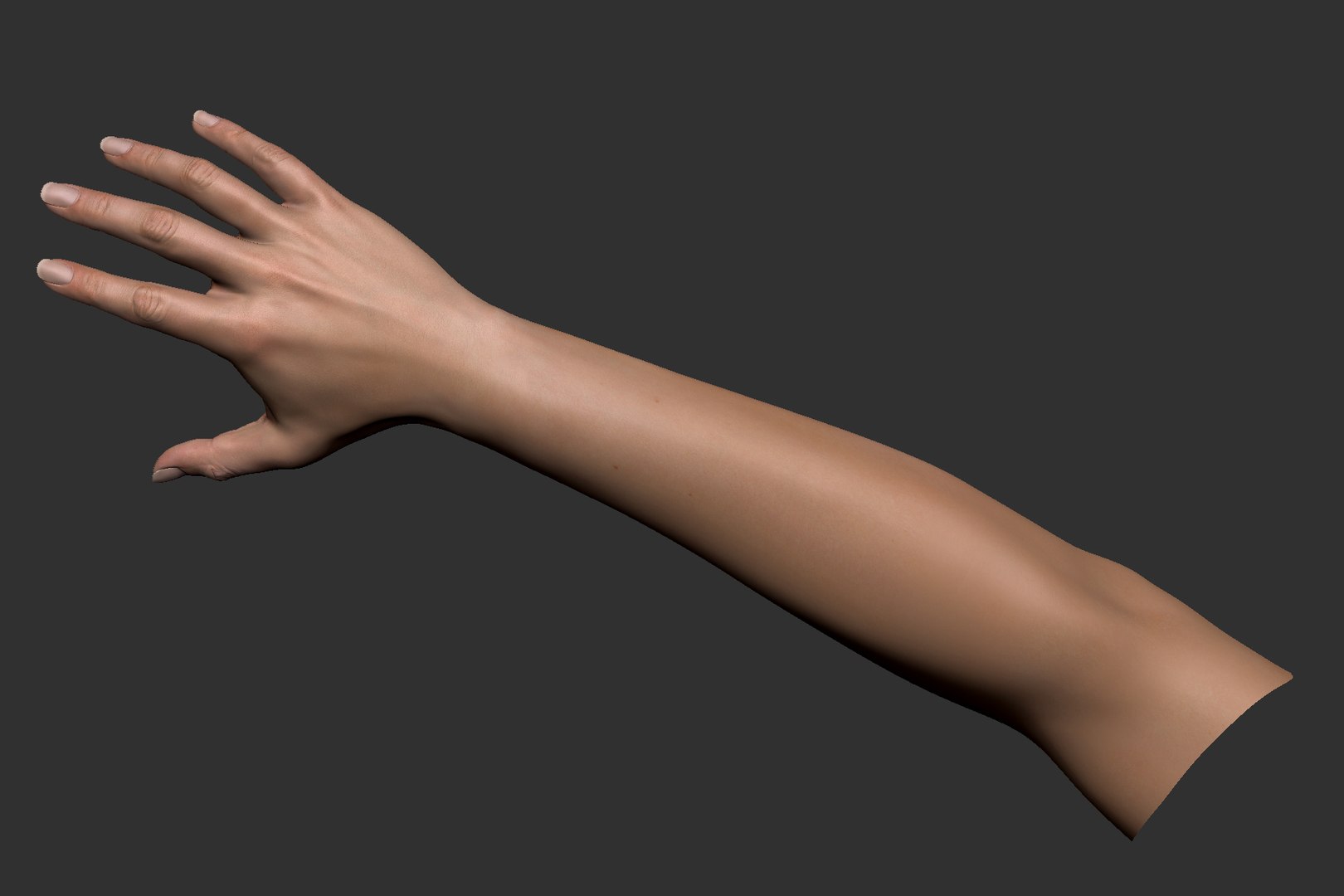 Realistic Female Arm Hand 3D Model - TurboSquid 1312491