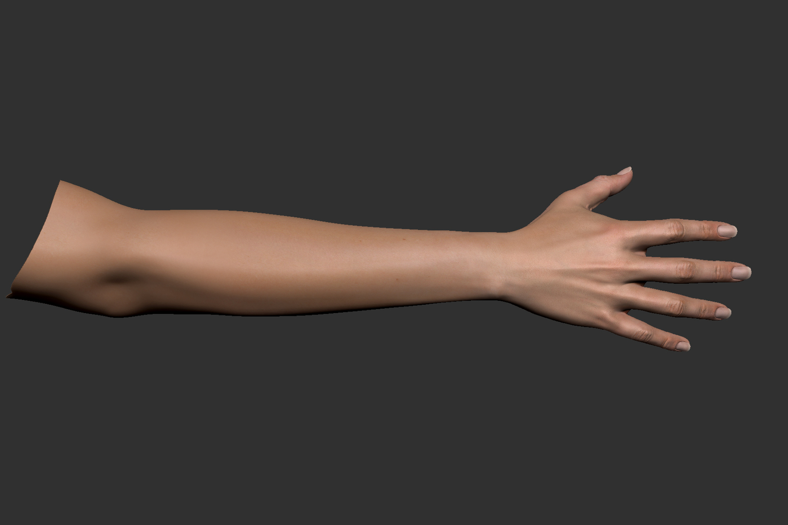 Realistic female arm hand 3D model - TurboSquid 1312491
