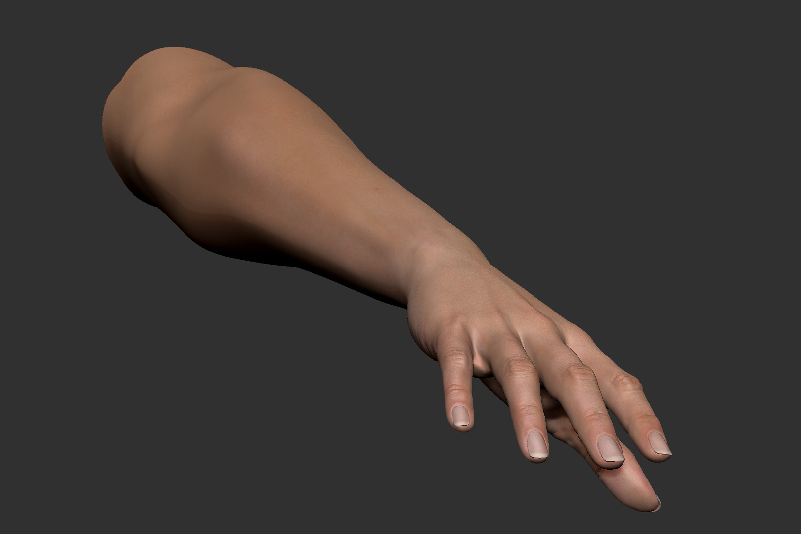 Realistic female arm hand 3D model - TurboSquid 1312491