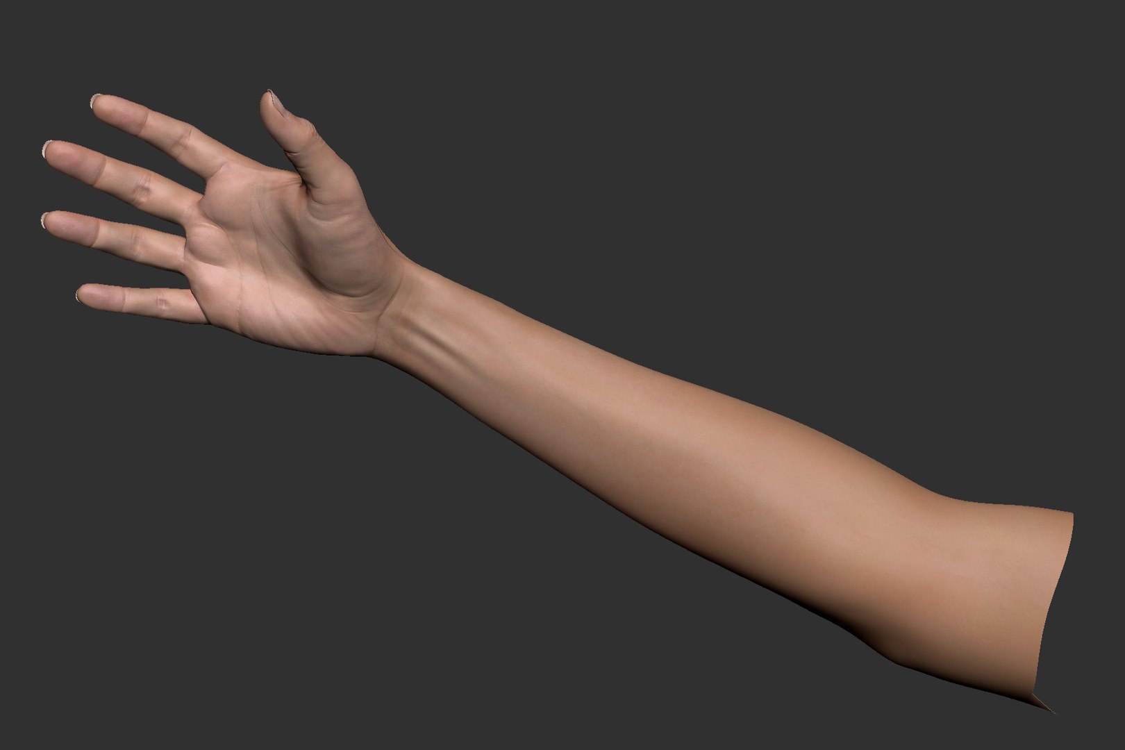 Realistic female arm hand 3D model - TurboSquid 1312491