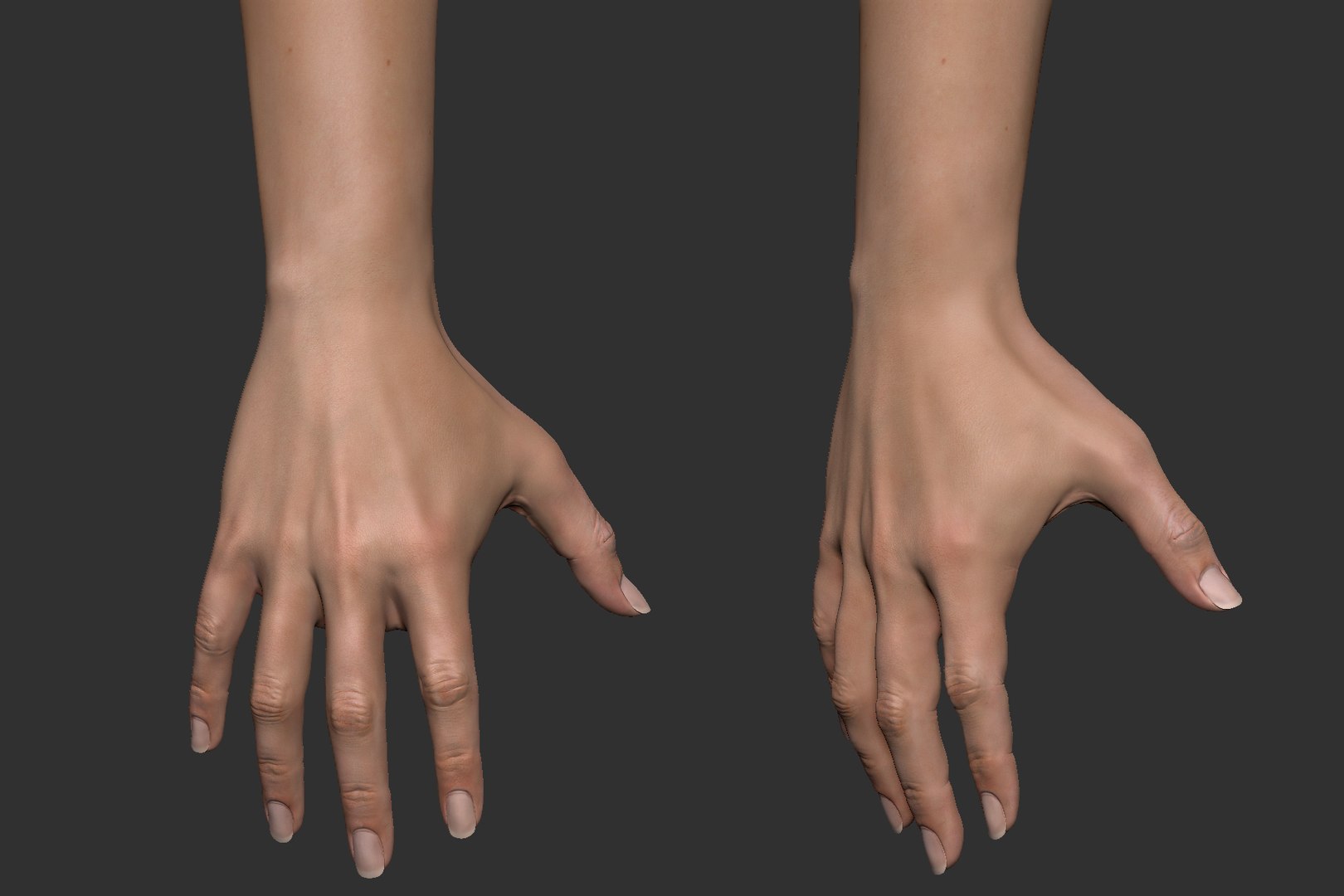 Realistic female arm hand 3D model - TurboSquid 1312491