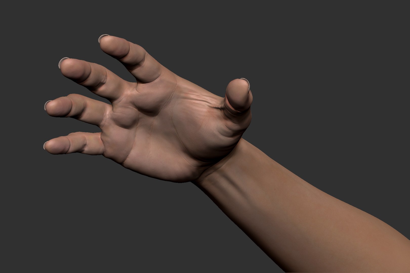 Realistic Female Arm Hand 3D Model - TurboSquid 1312491