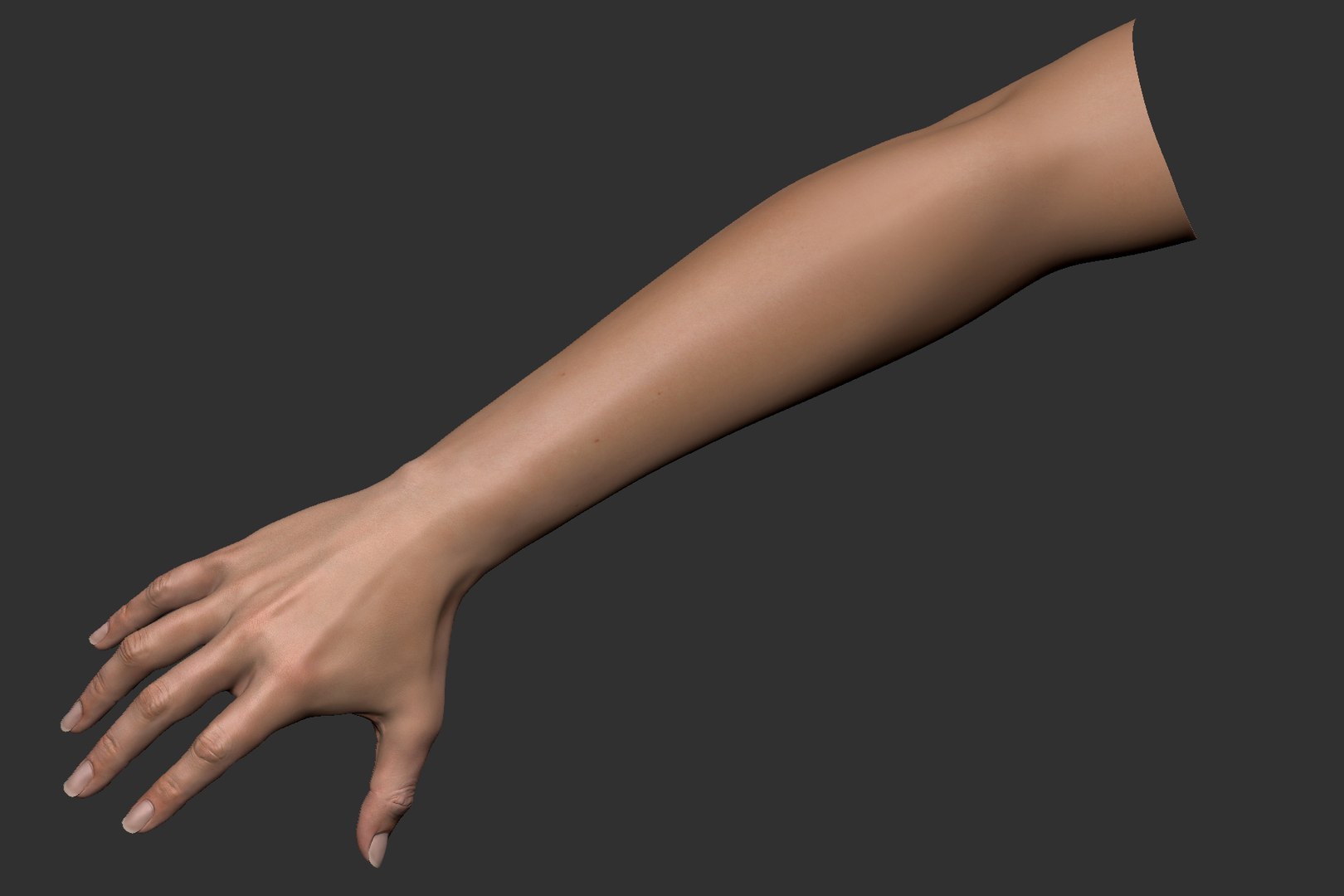 Realistic Female Arm Hand 3D Model - TurboSquid 1312491