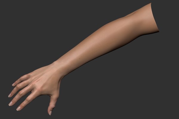 Realistic female arm hand 3D model - TurboSquid 1312491