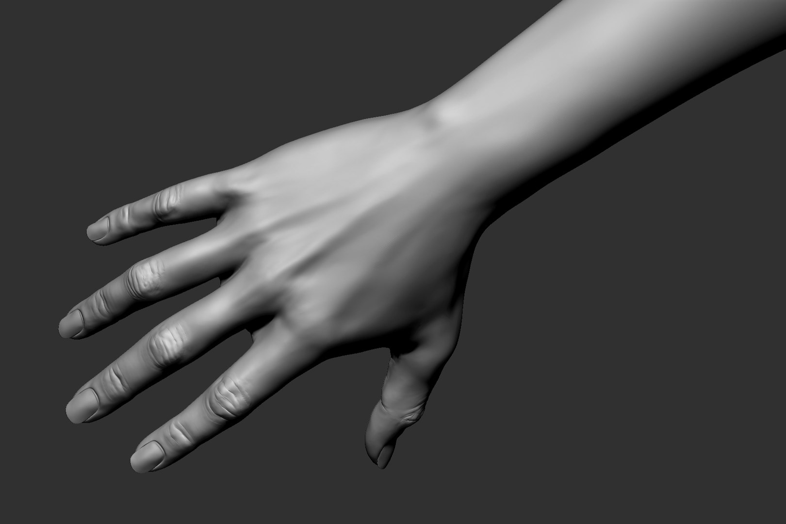 Realistic female arm hand 3D model - TurboSquid 1312491