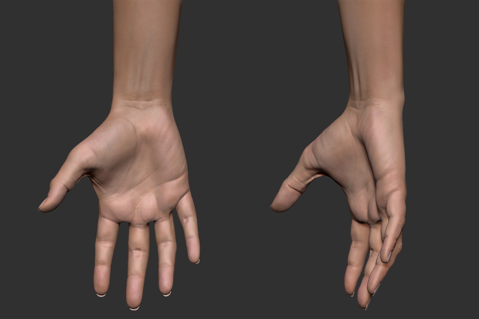 Realistic female arm hand 3D model - TurboSquid 1312491