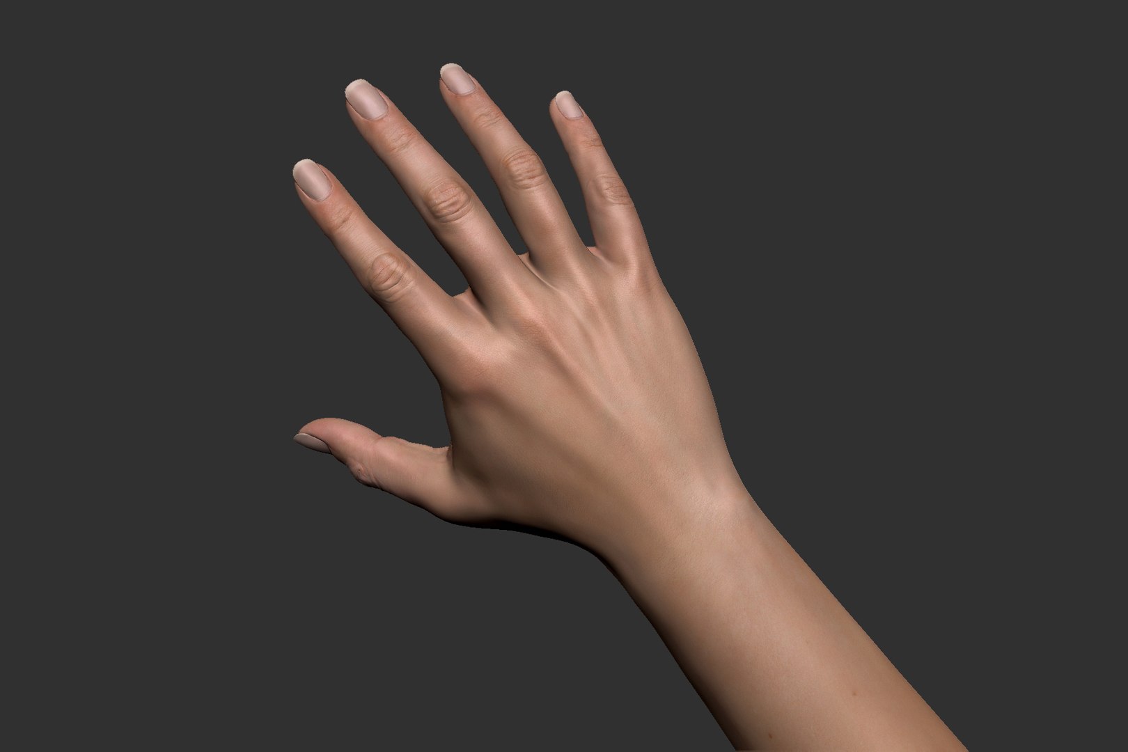 Realistic female arm hand 3D model - TurboSquid 1312491