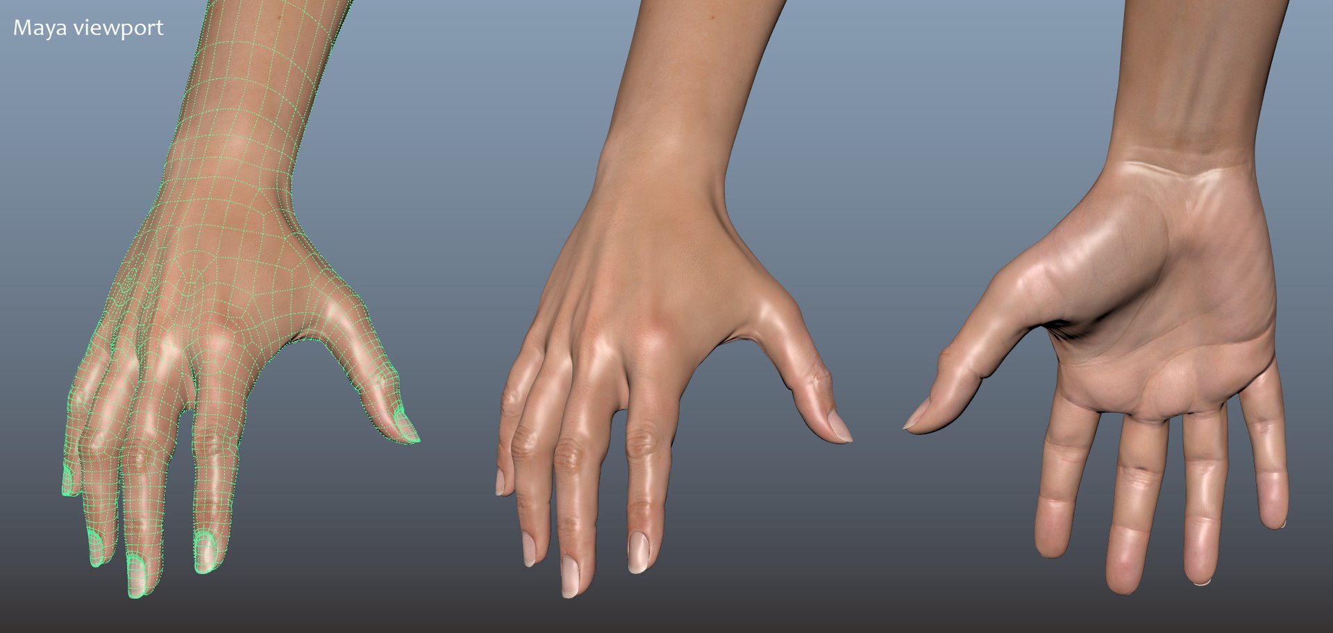 Realistic female arm hand 3D model - TurboSquid 1312491