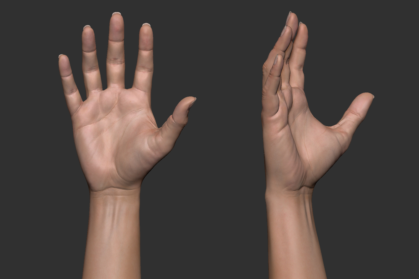 Realistic female arm hand 3D model - TurboSquid 1312491