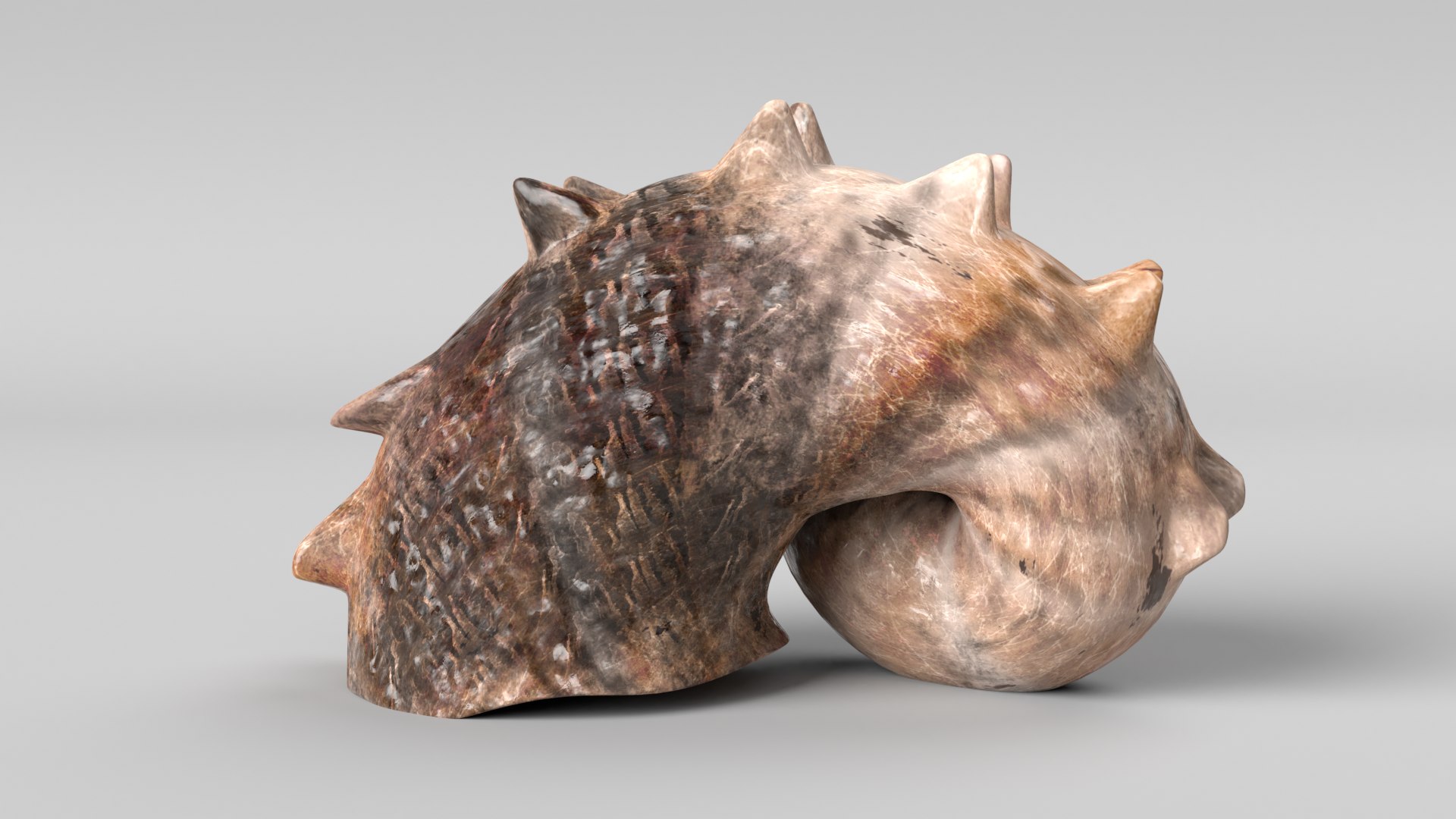 3D Seashell Shell Sea Model - TurboSquid 1665771