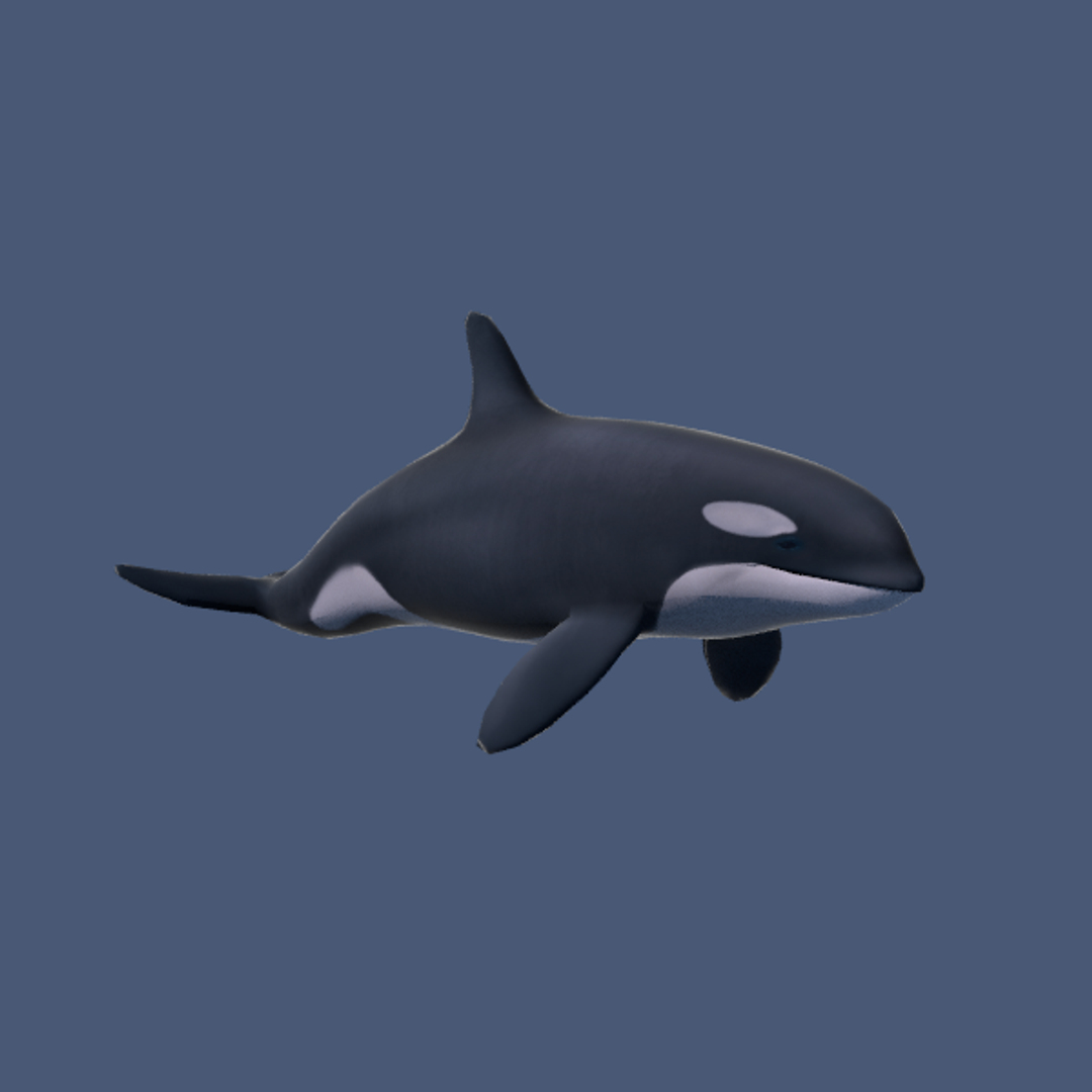 Orca Animation 3d X