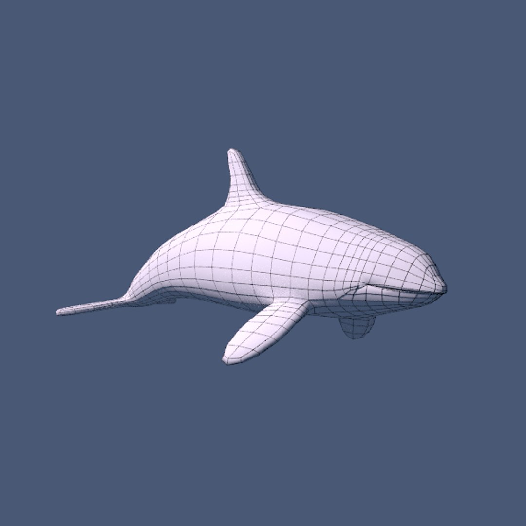 Orca Animation 3d X