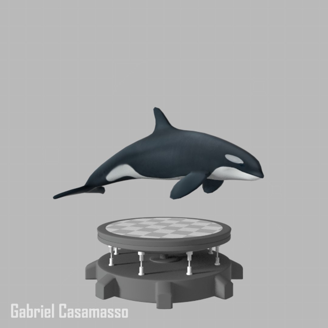 Orca Animation 3d X