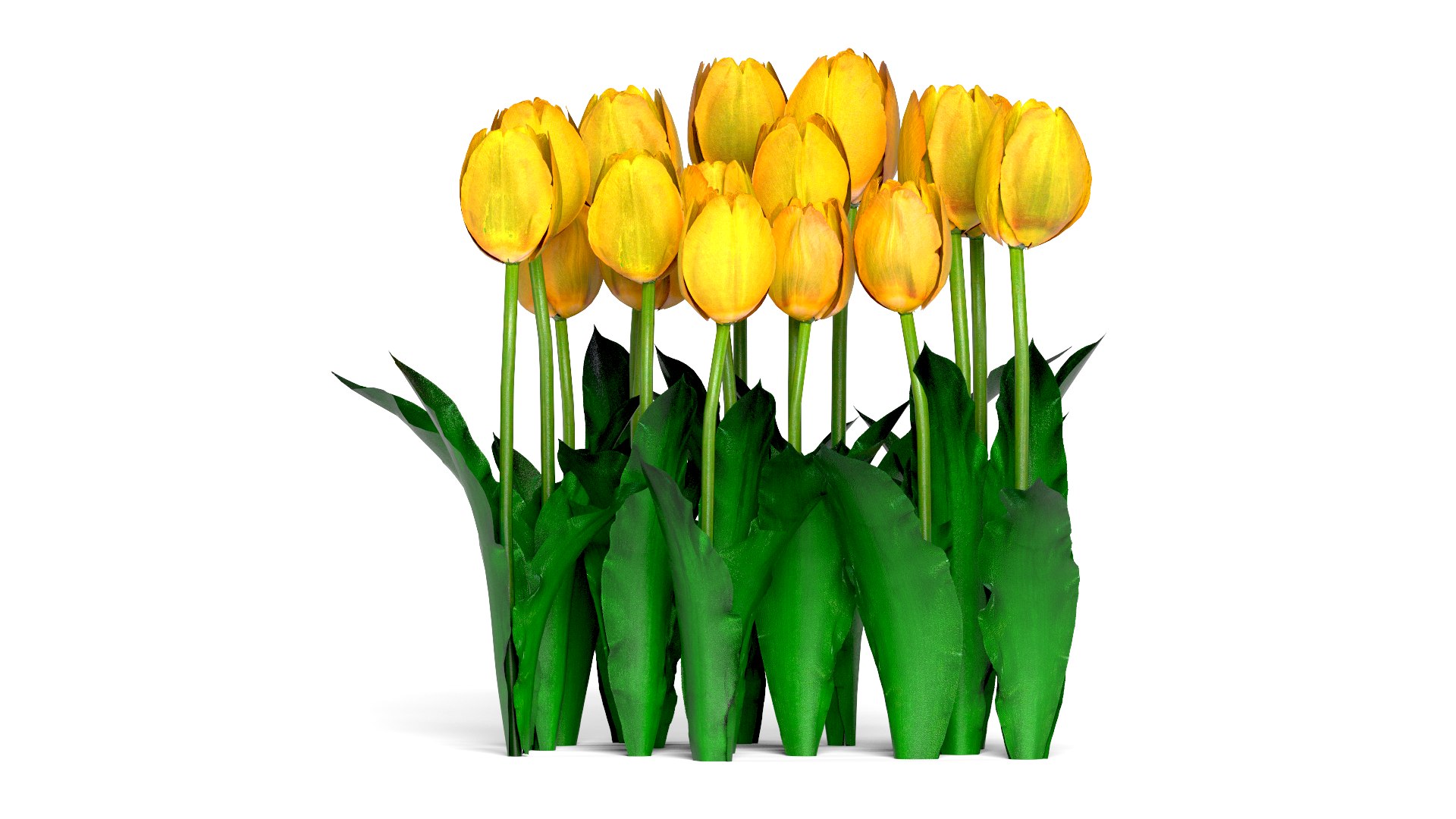8k Game Ready Realistic 4 Color Tulip 3D Pack 3D Model - TurboSquid 2317482