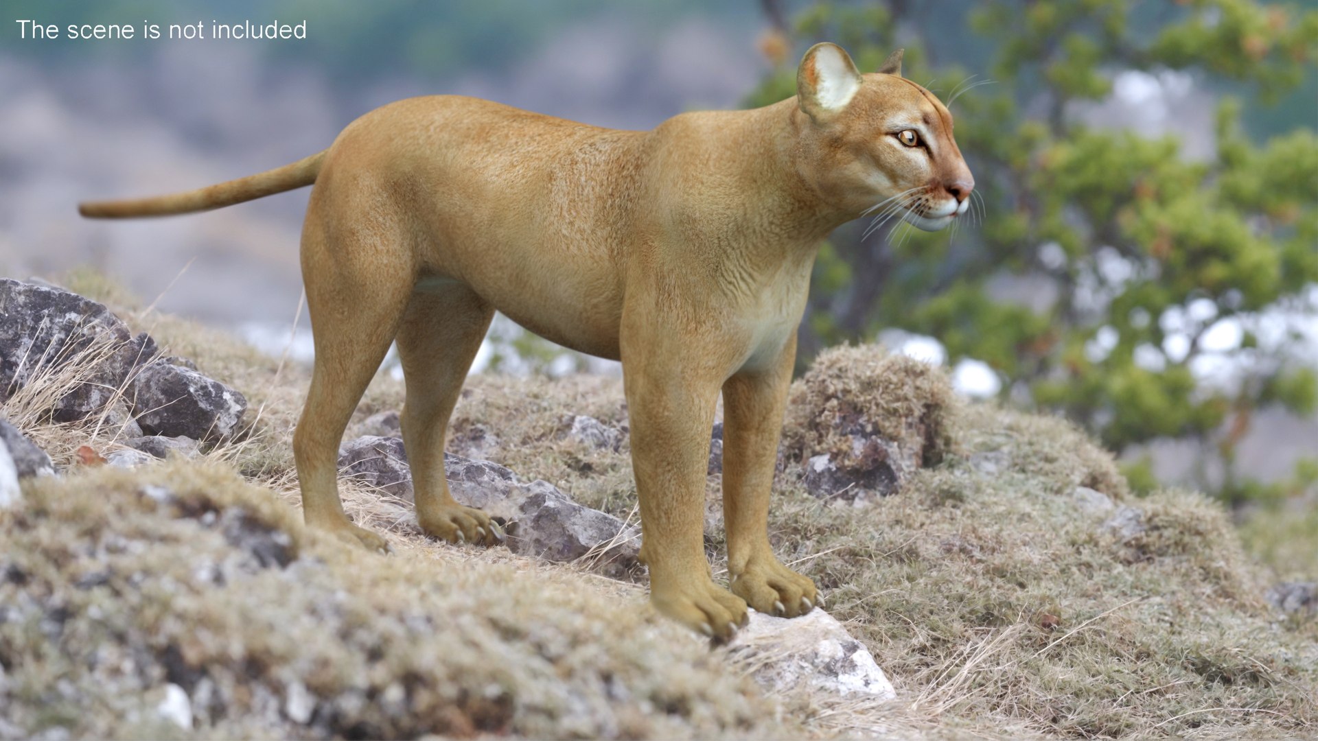 3D Puma Model - TurboSquid 2230637