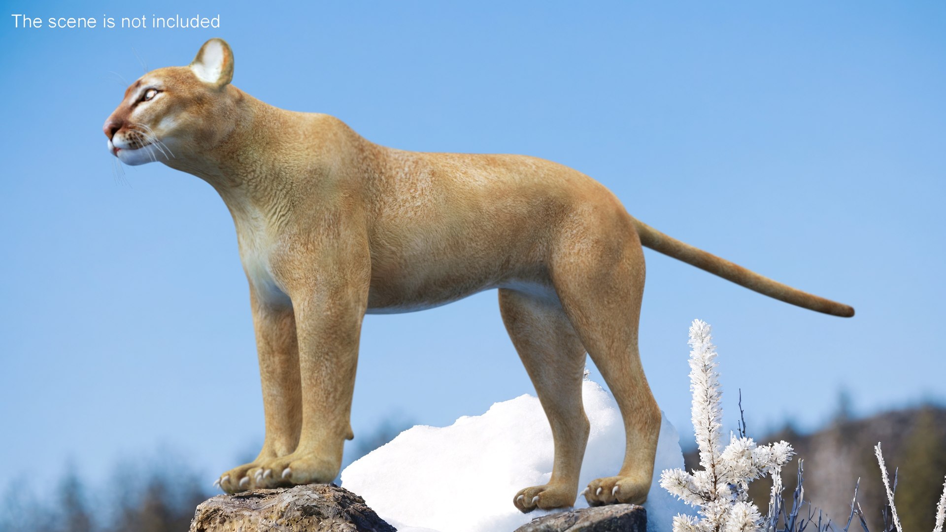 3D Puma Model - TurboSquid 2230637