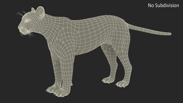 modelo 3d Puma - TurboSquid 2230637