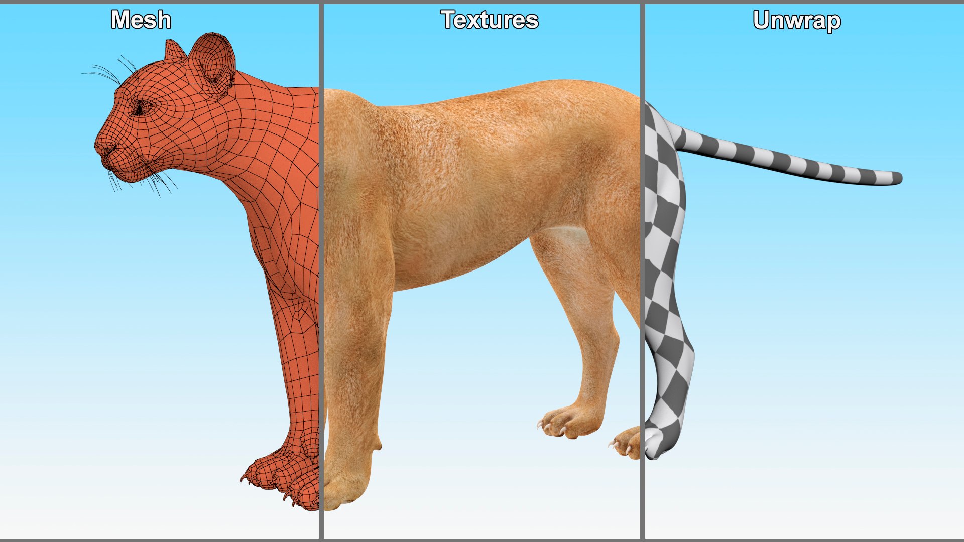 3D Puma Model - TurboSquid 2230637