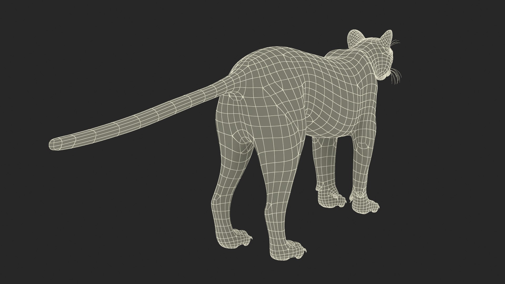 3D Puma Model - TurboSquid 2230637