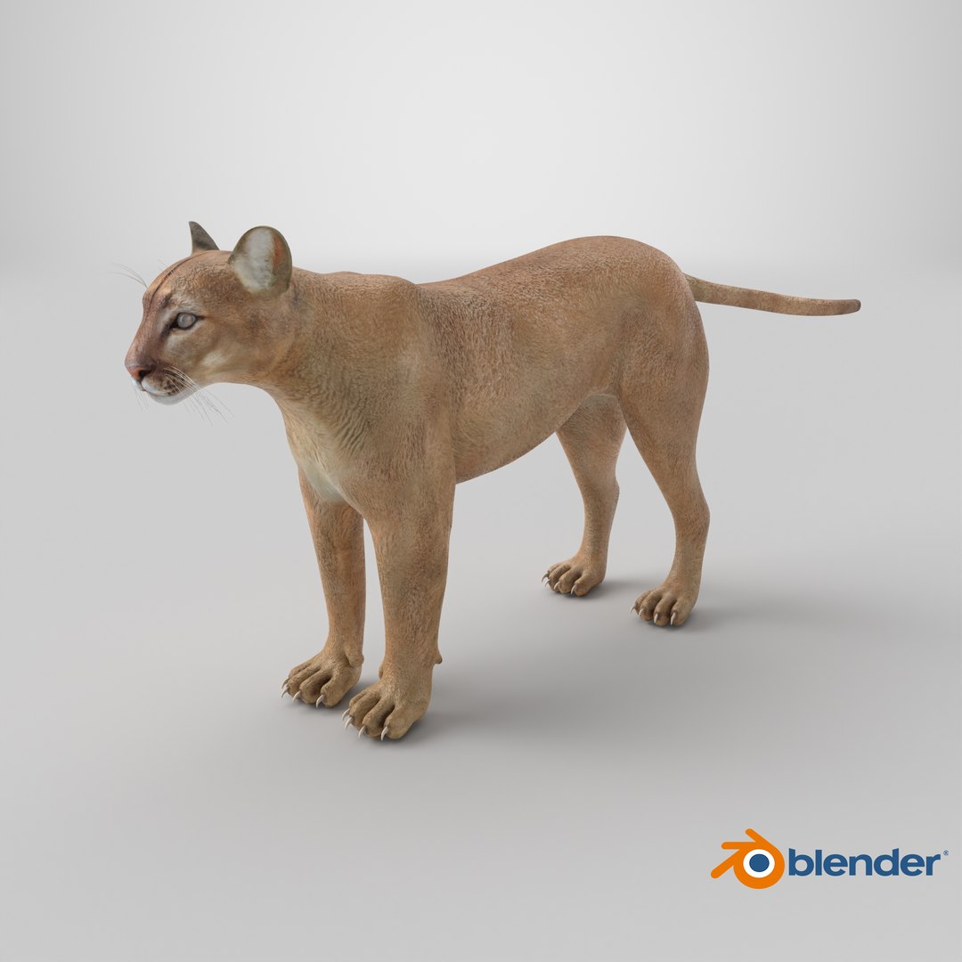 3D Puma Model - TurboSquid 2230637